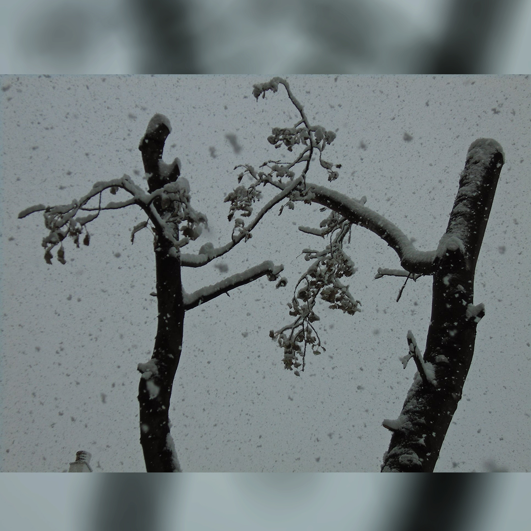 Journeys basking in Greek light with Giannis Papoutsakis | 11.01.22 ...